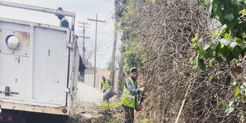 Landscapers in Modesto & Central Valley | Grover Landscape Services Inc
