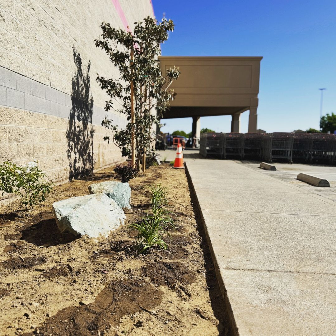 costco landscape upgrade