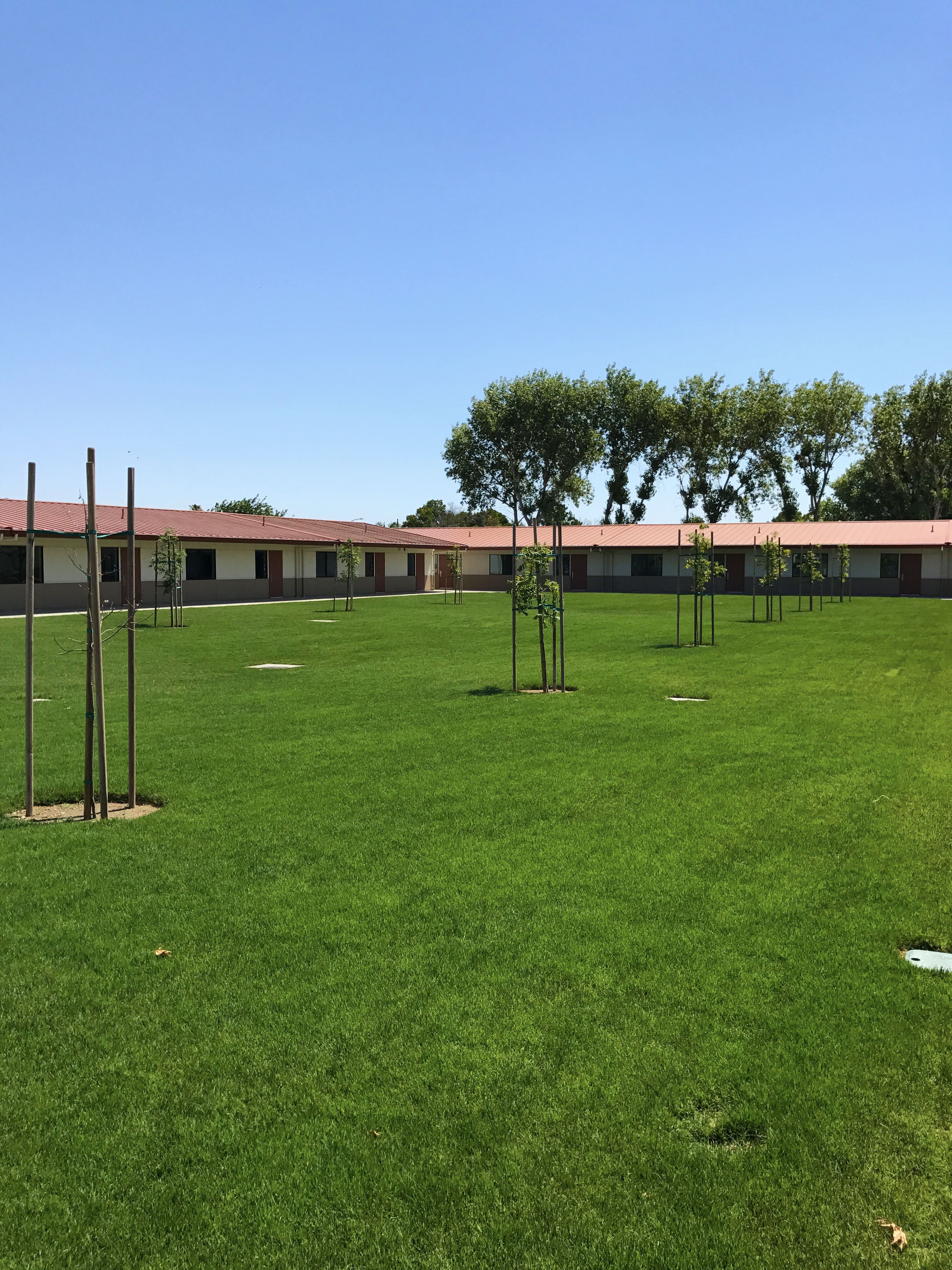 Mercey Springs ES