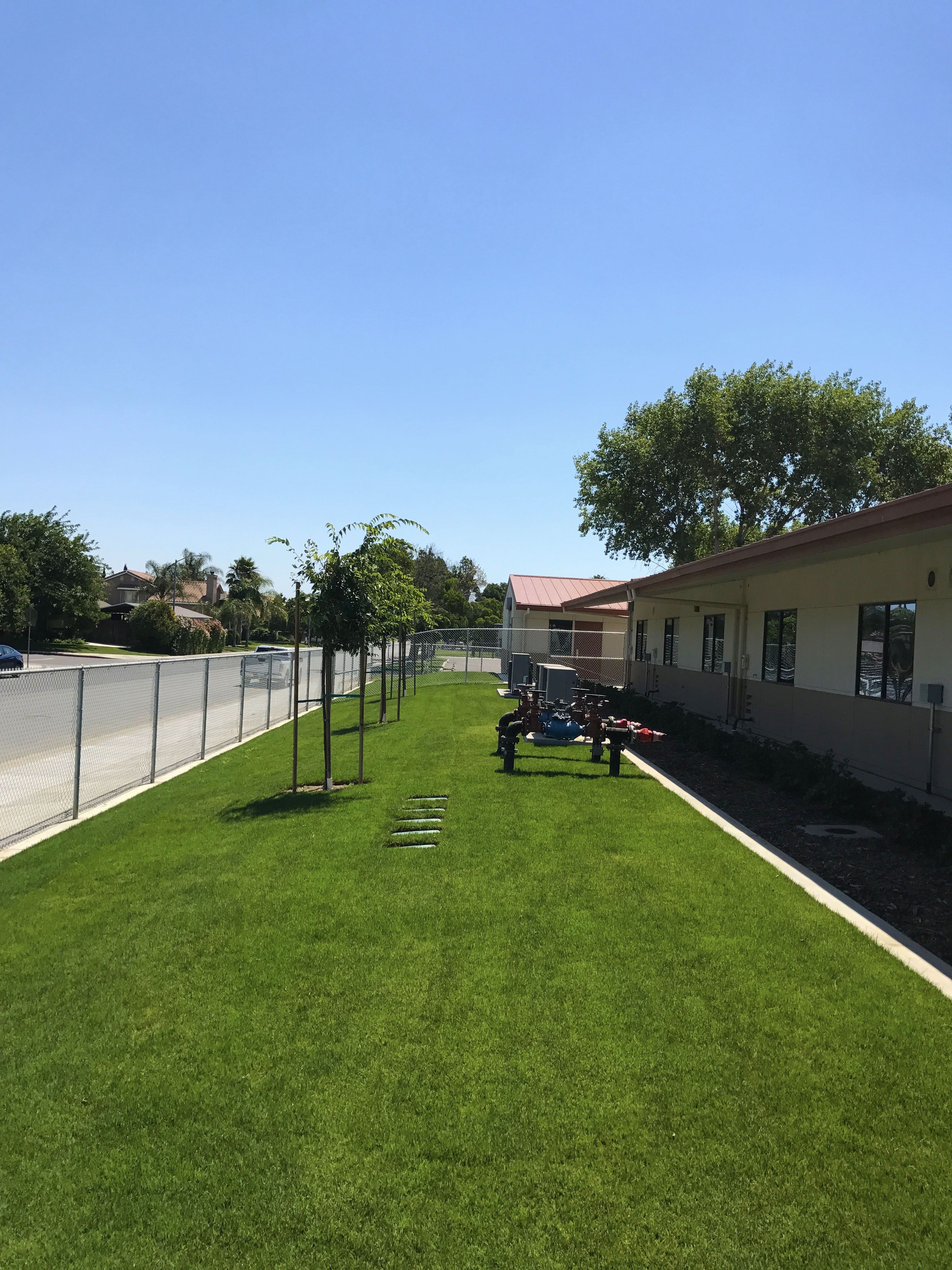 Mercey Springs ES