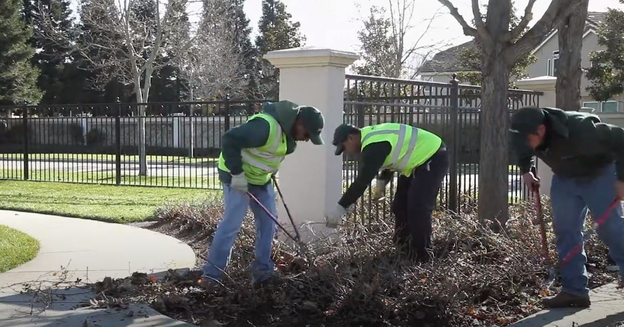 Grover Landscaping Maintenance | Grover Landscape Services